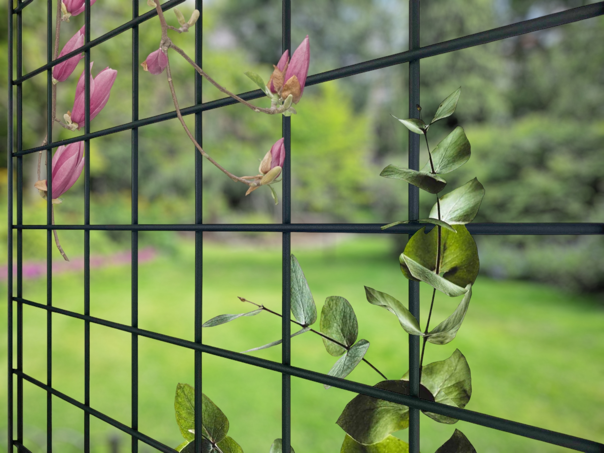 Rankgitter mit Aufhängebuchsen anthrazit pulver-beschichtet 1470x700 mm ...
